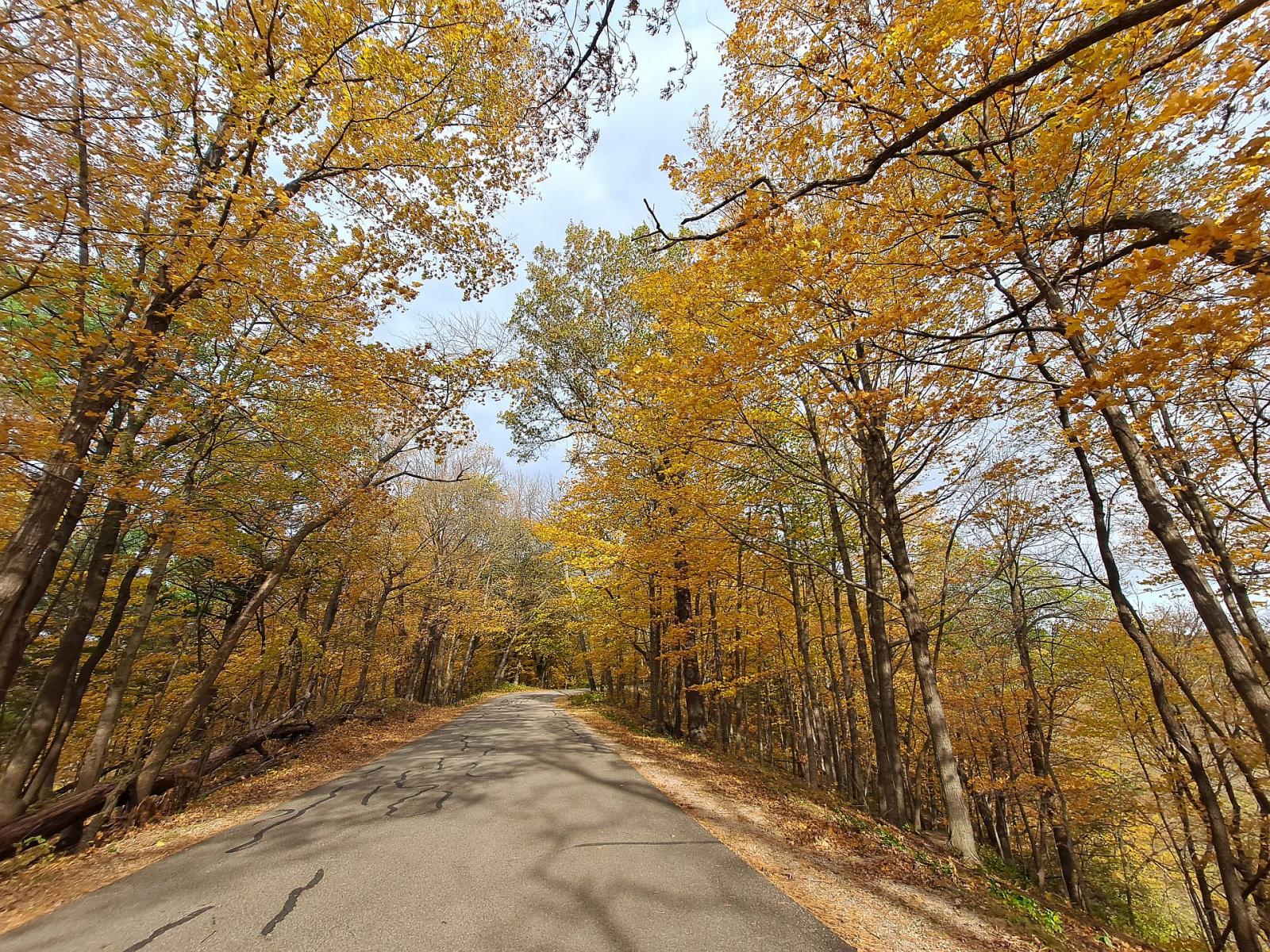 Facility Details - Backbone State Park, IA - Iowa State Parks